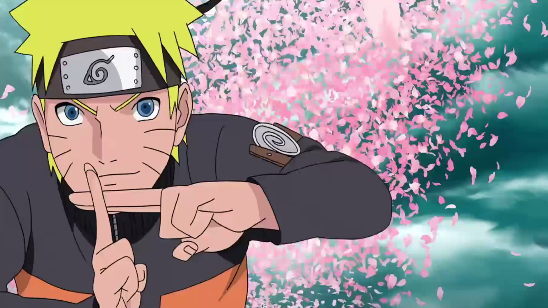 How to become a Ninja – the last word